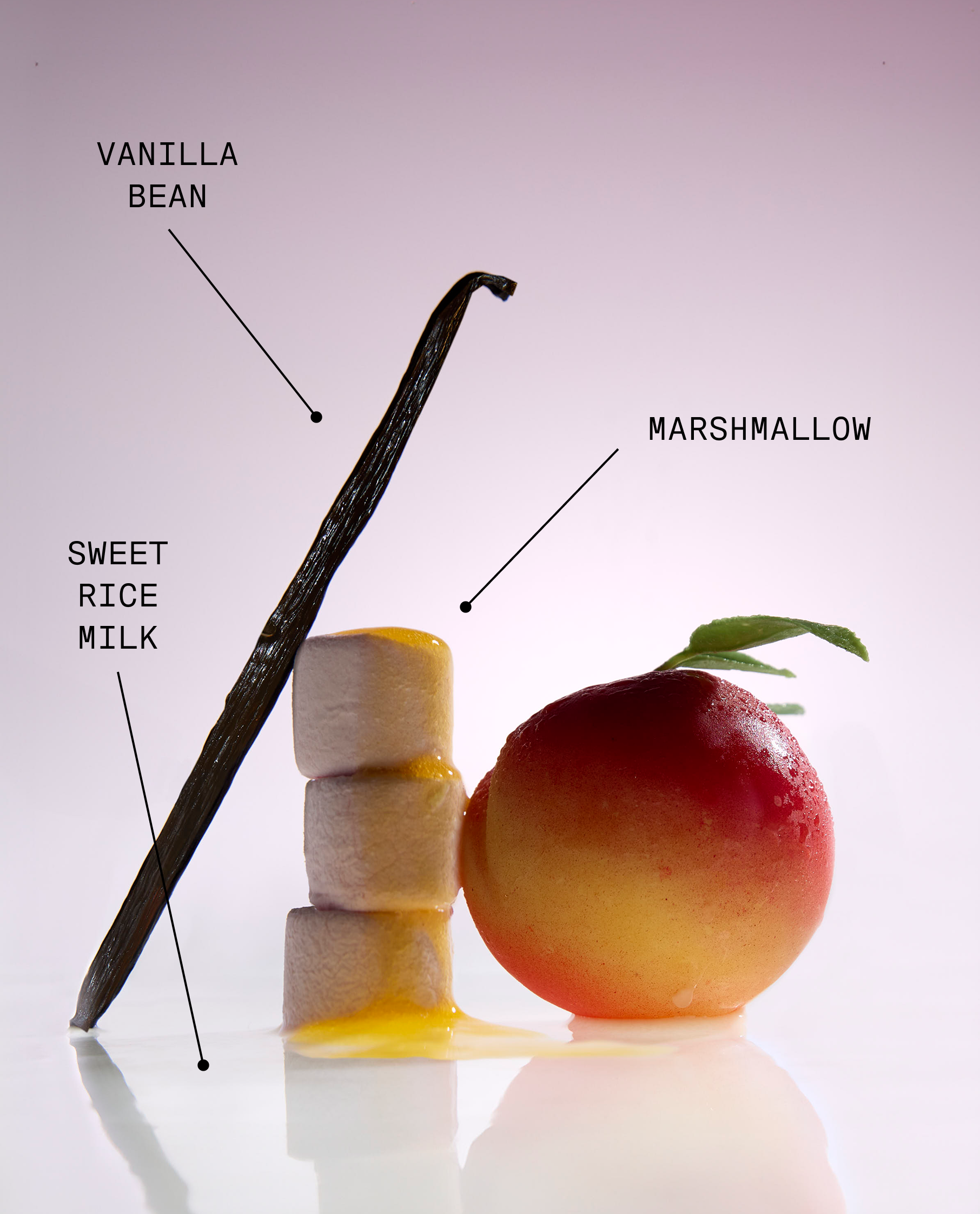 Mochi Milk Sample – DedCool